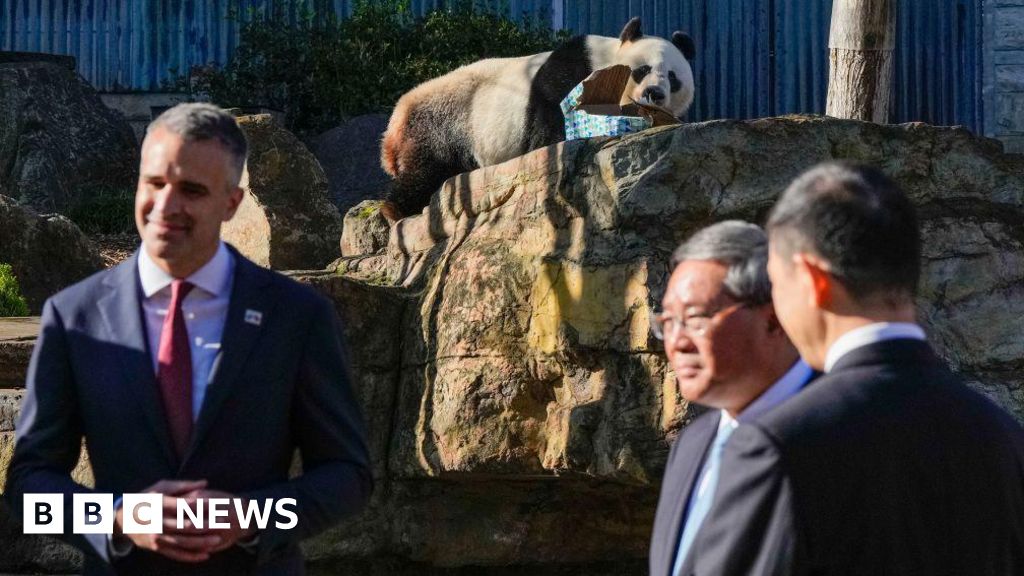 Beijing offers pandas to repair relationship with Australia